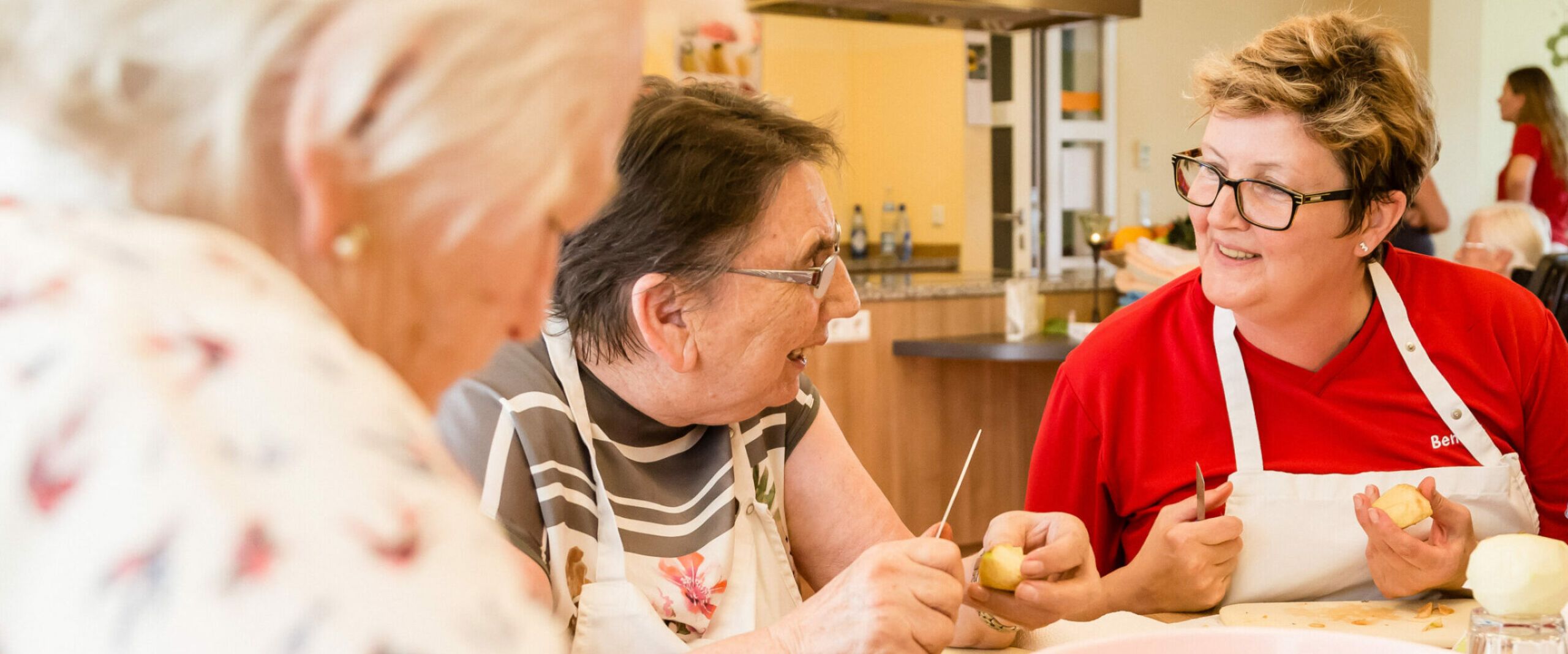 Haus am Weinberg — BeneVit